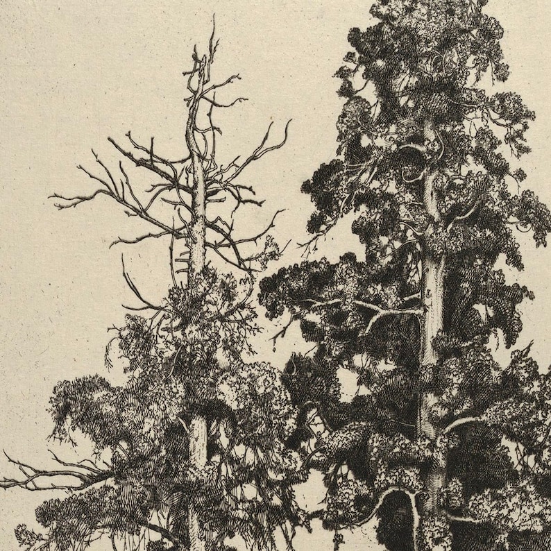 Vintage Tree Etching Print Antique Landscape Painting Modern - Etsy