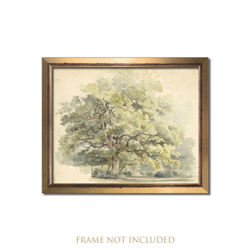 Oak Tree Print - Etsy