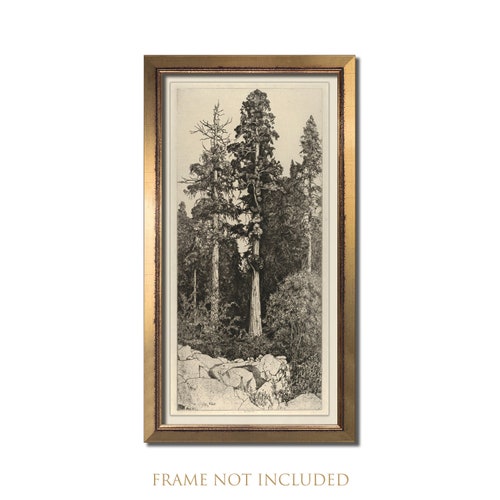 Vintage Tree Etching Print Antique Landscape Painting Modern - Etsy