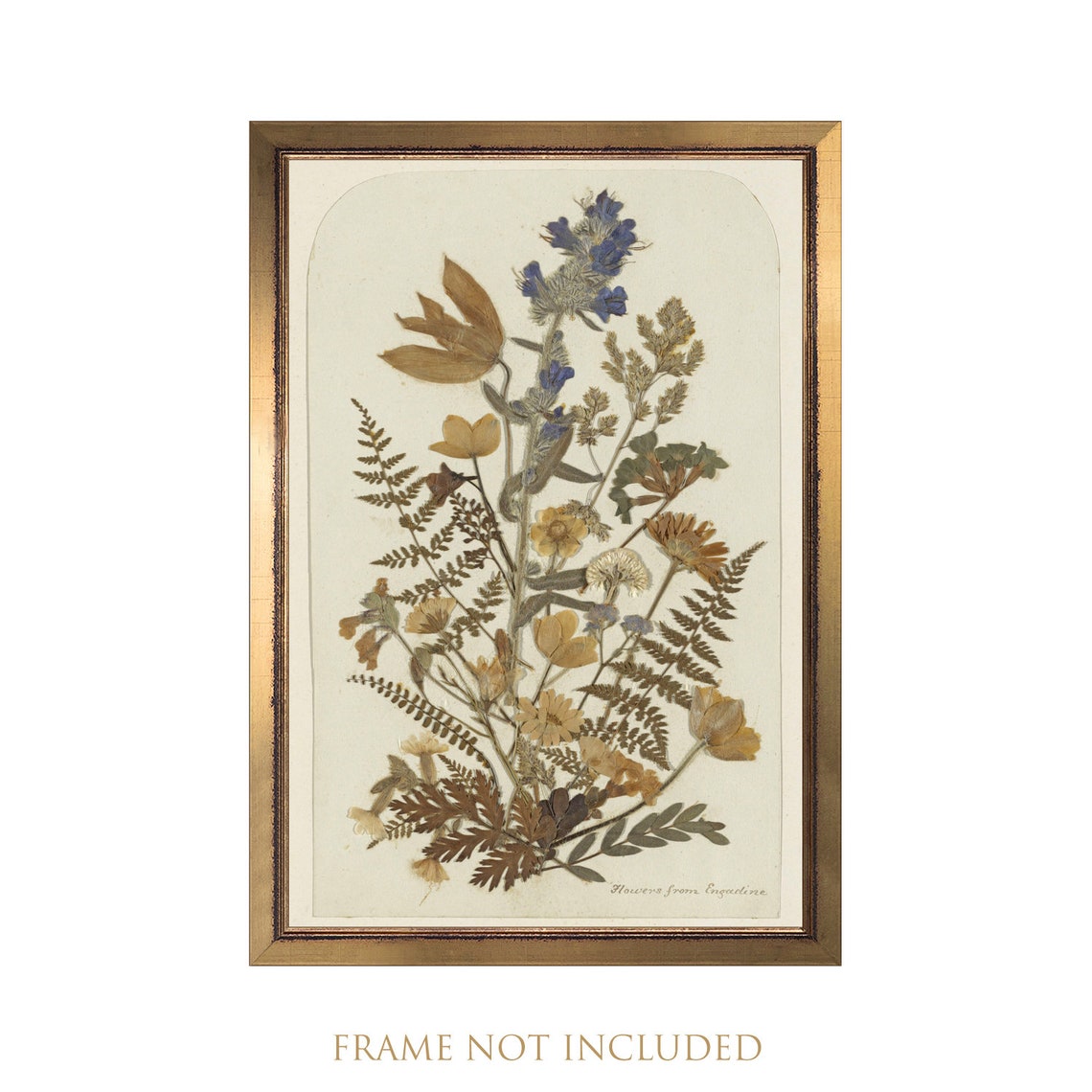 Pressed Flower Art Pressed Botanical Print Floral Prints - Etsy