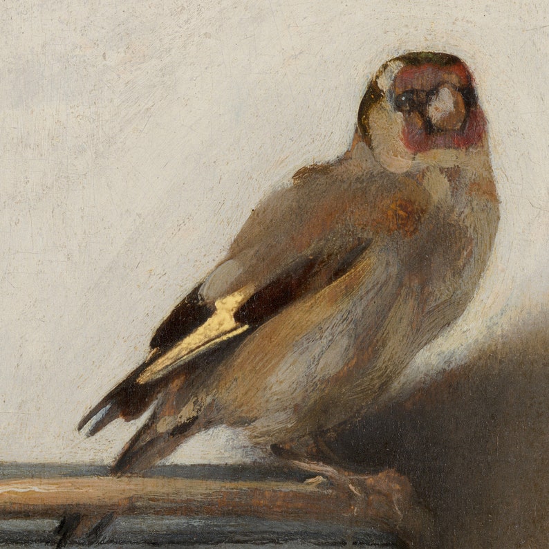Bird Prints Bird Art Old Dutch Painting Goldfinch Antique | Etsy