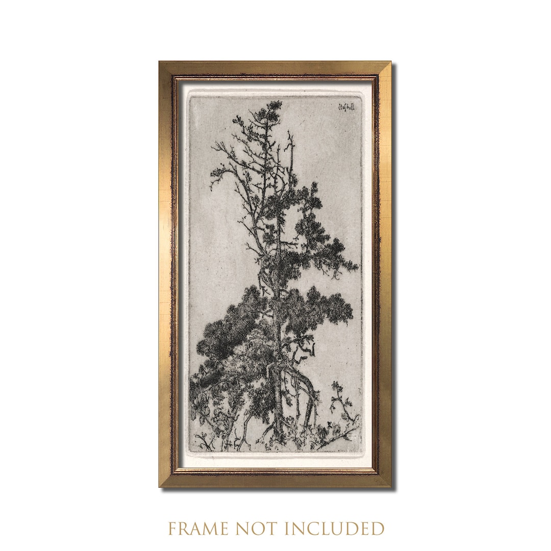Vintage Tree Art, Tree Drawing, Vintage Tree Tops Print, Antique ...