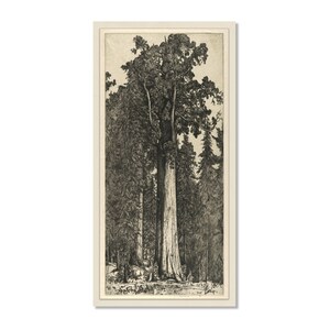 Vintage Tree Etching Print, Antique Landscape Painting, Modern ...