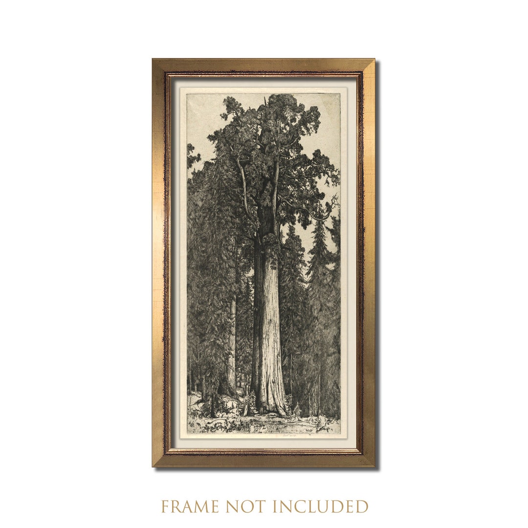 Vintage Tree Etching Print, Antique Landscape Painting, Modern ...
