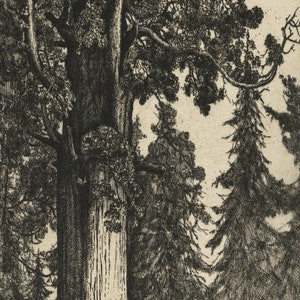 Vintage Tree Etching Print, Antique Landscape Painting, Modern ...