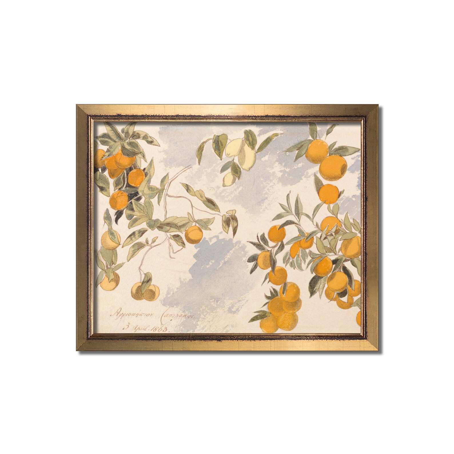 Kitchen Art Orange Tree Painting Orange Tree Print | Etsy