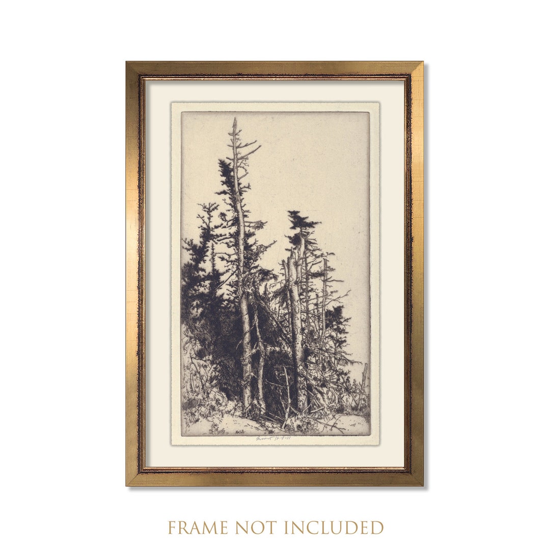 Tree Art, Tree Print, Tall Painting, Vintage Tree Print, Tall Forest ...