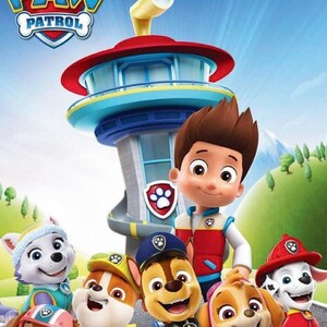ryder paw patrol coloring book