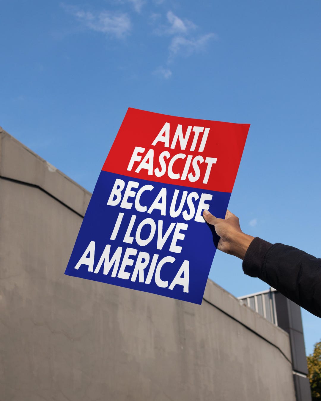 Antifa Protest Sign - Anti Fascist Protest Poster - No Kings Protest ...