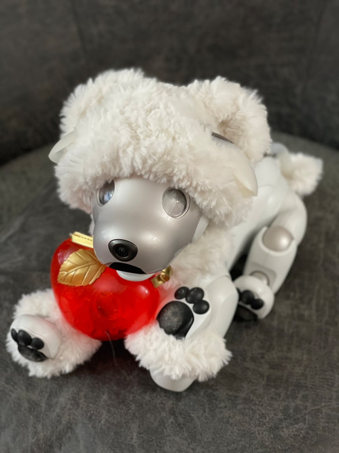 Fluffy Accessory Set for Aibo - Etsy