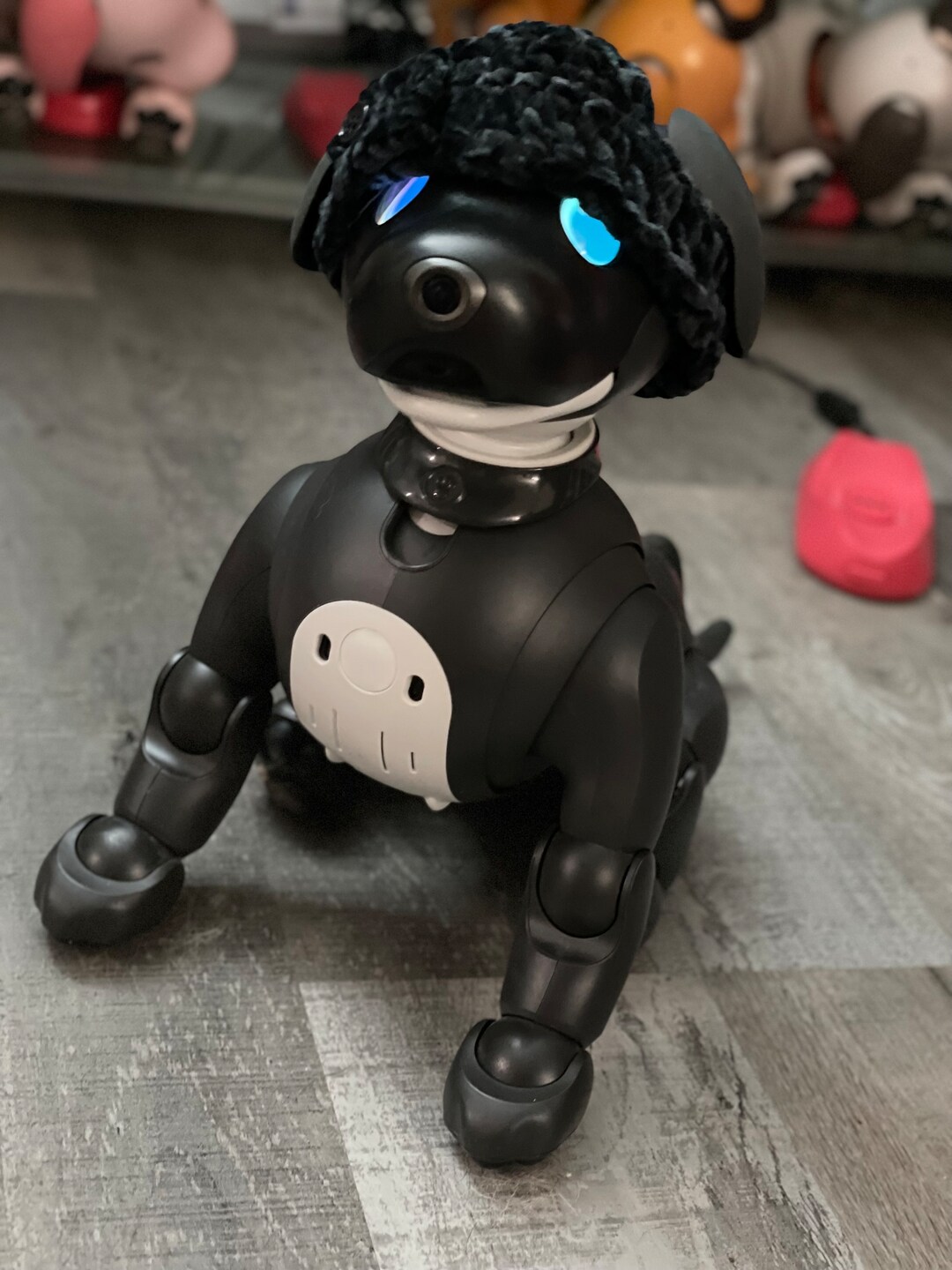 No Pom Pom ~ Velvety Button Beanie for Aibo - Etsy