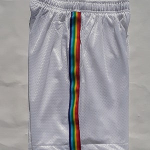 Pride Shorts Rainbow Stripe Shorts Gay Pride Shorts Gay Mesh Mens ...