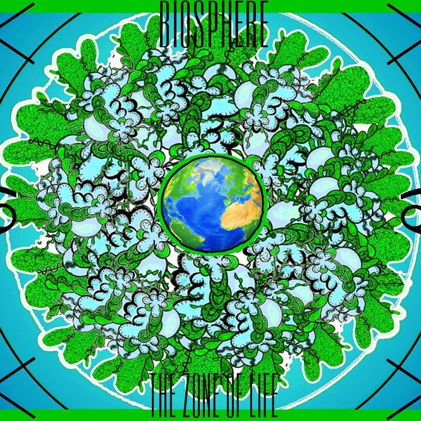 Biosphere - Etsy