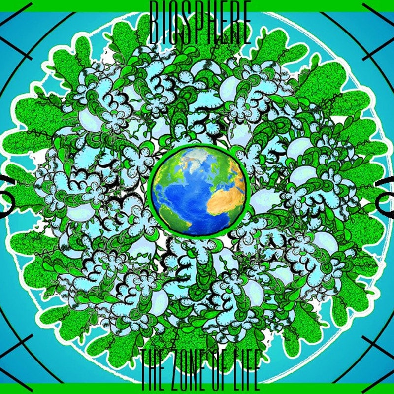 Biosphere - Etsy
