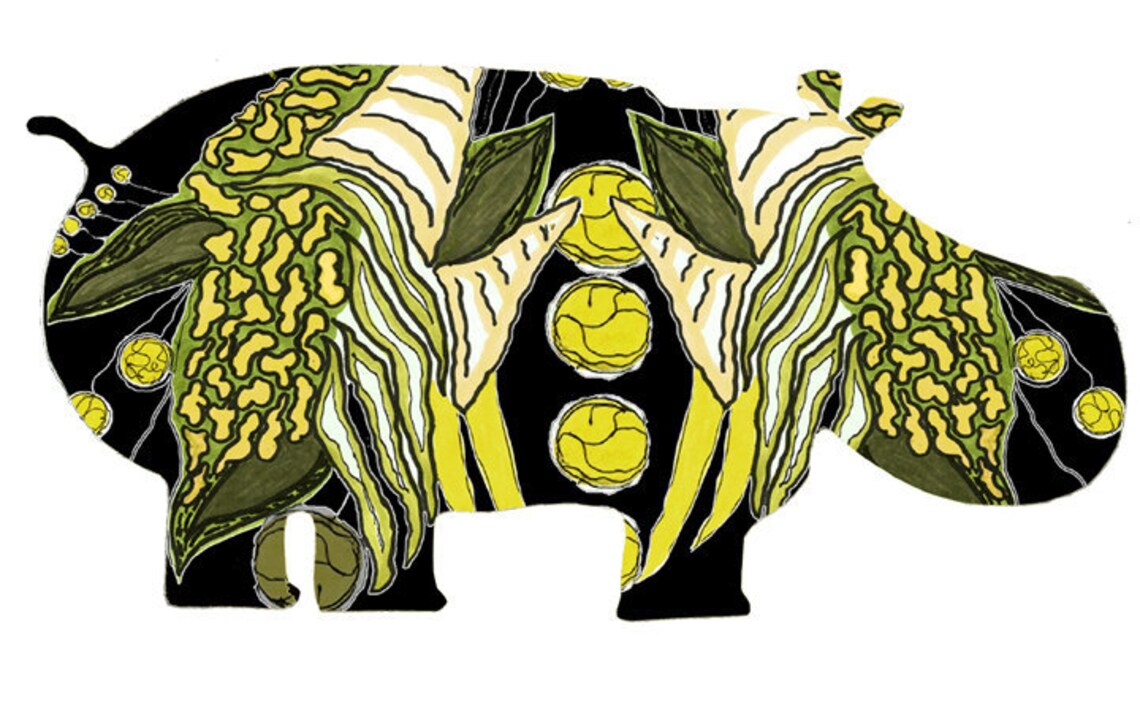 ZOO ANIMALS Wall Art, HIPPO Kids Room Art, Matching Animal Prints ...