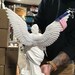 St. Michael the Archangel: Patron Saint of Police Officers-please Read ...