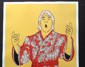 Ric Flair's Rock 'N Wrestling Original Cartoon 11 X 17 Poster - Etsy