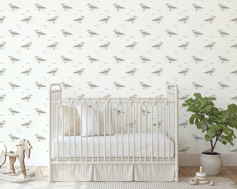 Zuma Birds Wallpaper | Animal, Bird, Wildlife, Flock, Illustrated ...