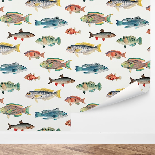 Fish Wallpaper - Etsy