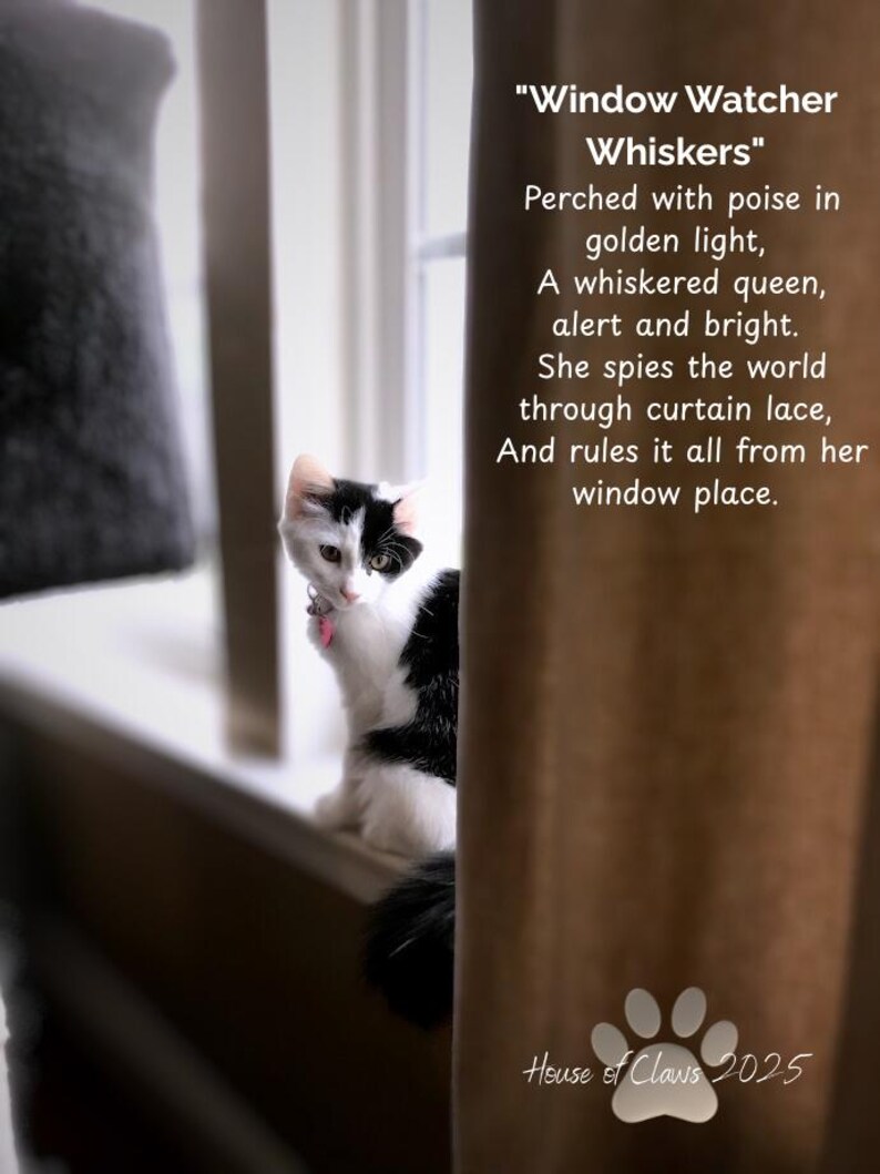 Window Watcher Cat Poem – Digital Art Print for Cat Lovers - Etsy