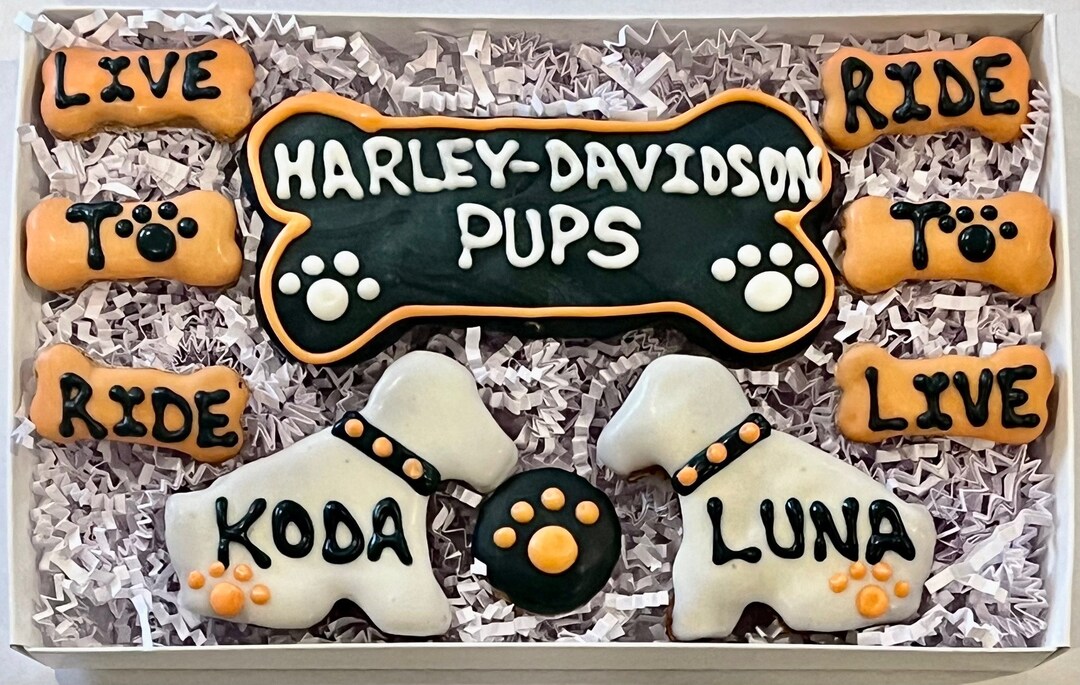 RUFF Riders Dog Treat Gift Box - Etsy