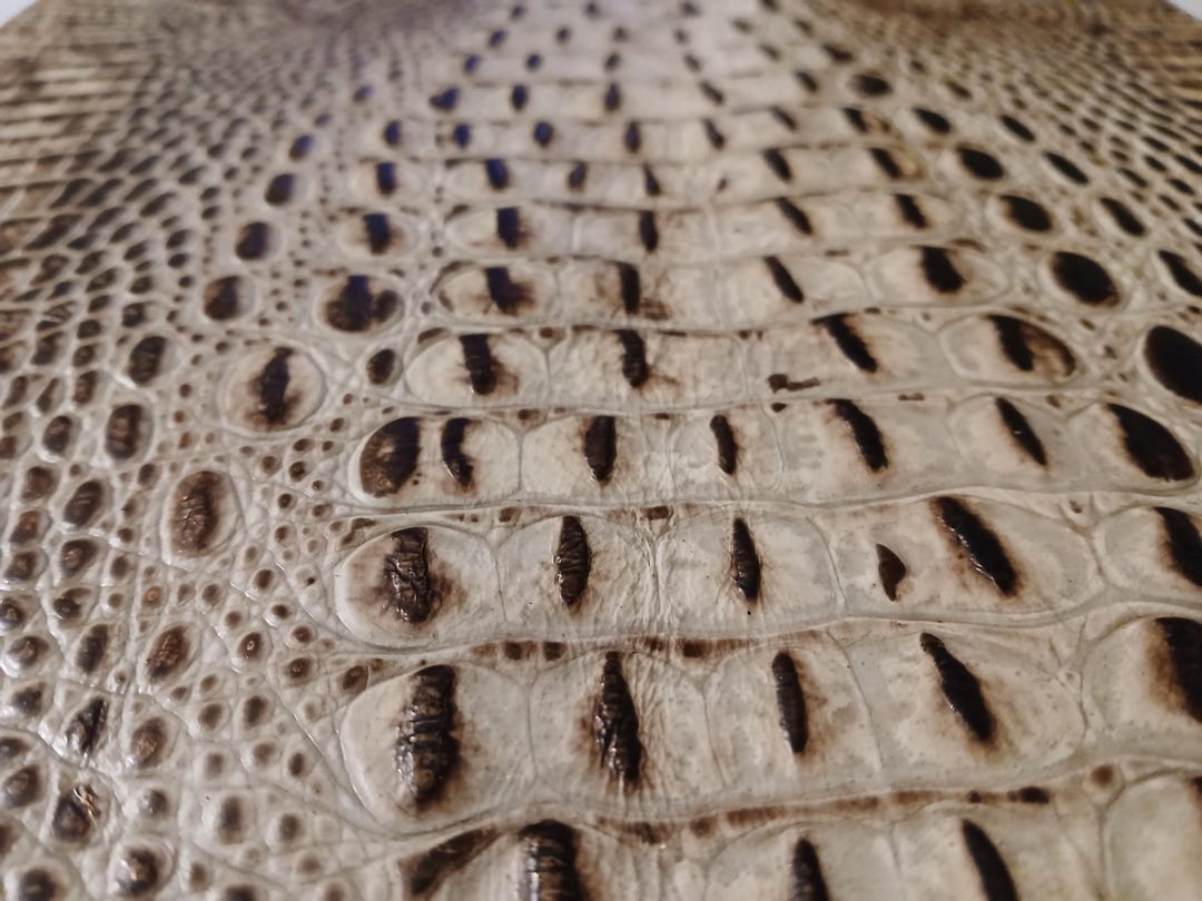Embossed Cowhide Leather: Crocodile Ivory and Gold - Etsy