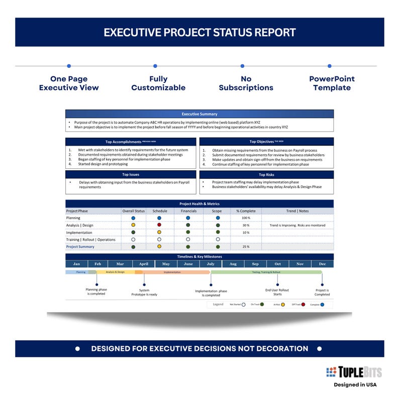Project Status Report Powerpoint for PMO Executive Dashboard, Monthly ...