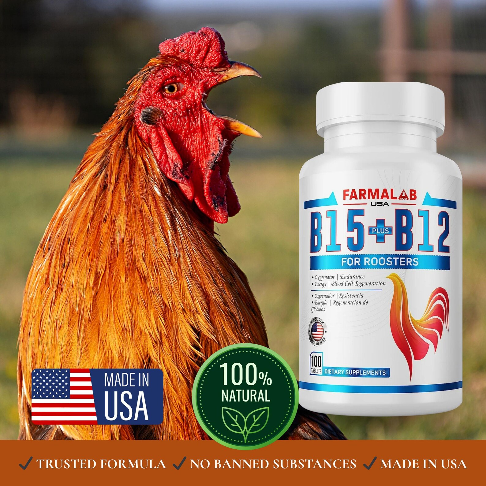 FARMALAB B15 + B12 Avian Vitamin Supplement: Energy & Vitality (100 ...