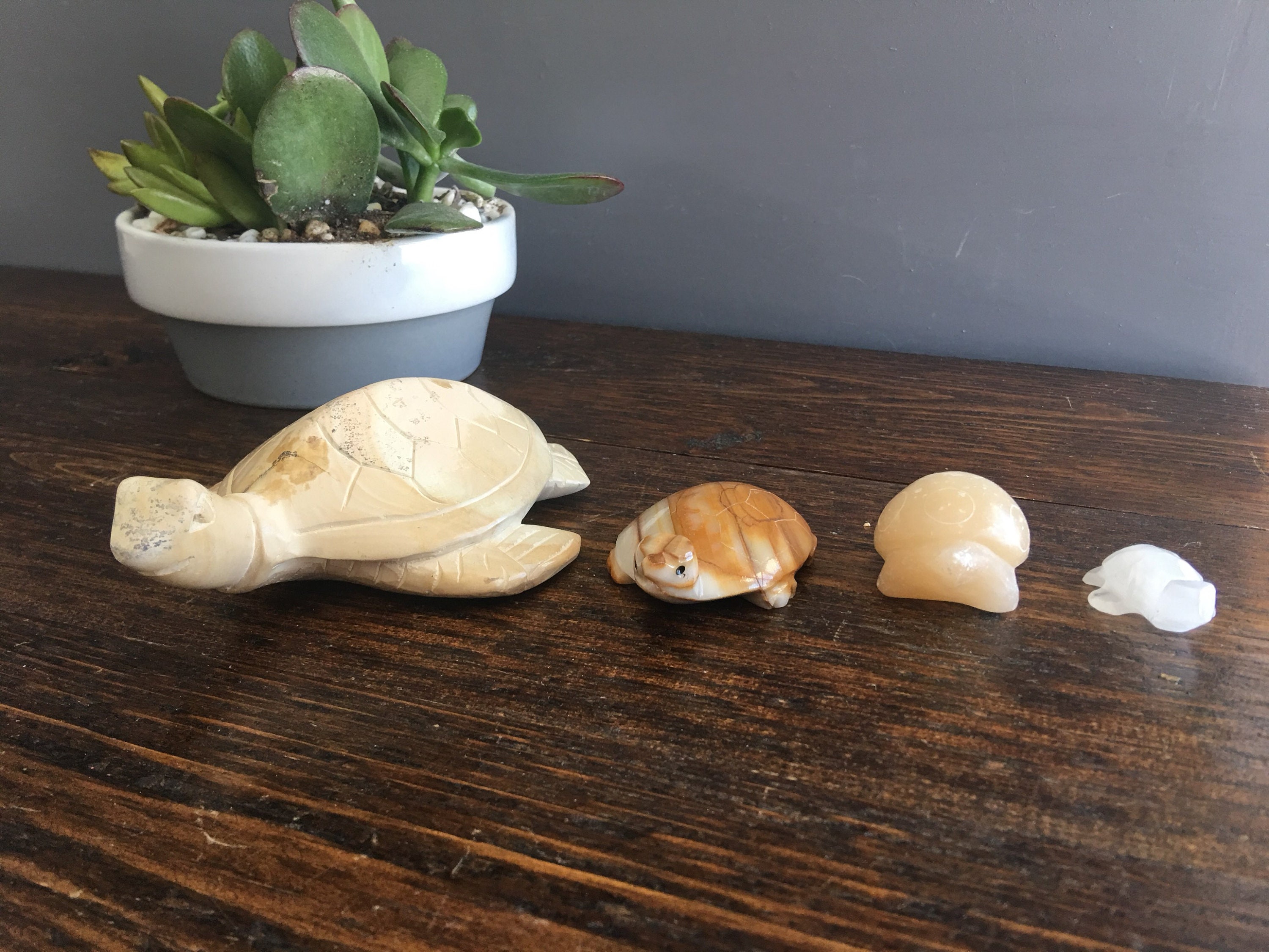 Vintage Carved Turtles / Sea Turtle Tortoise / Knick Knack | Etsy