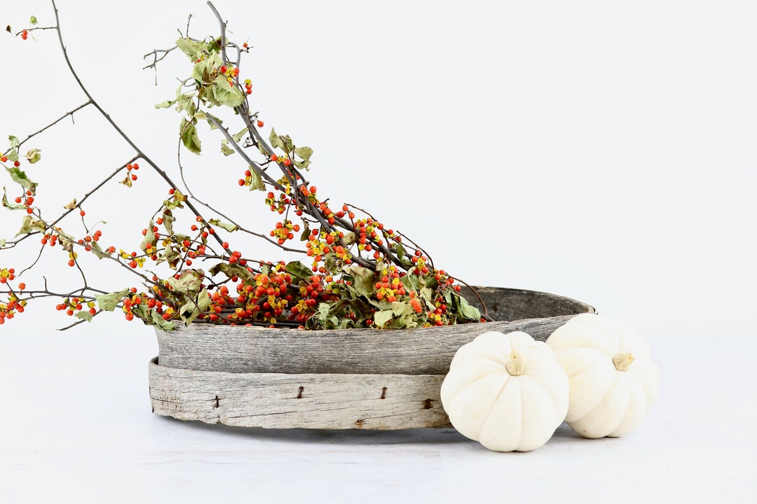 Vintage Sieve, Bent Wood Wire Mesh Sieve, Antique Grain Sieve, Rustic ...