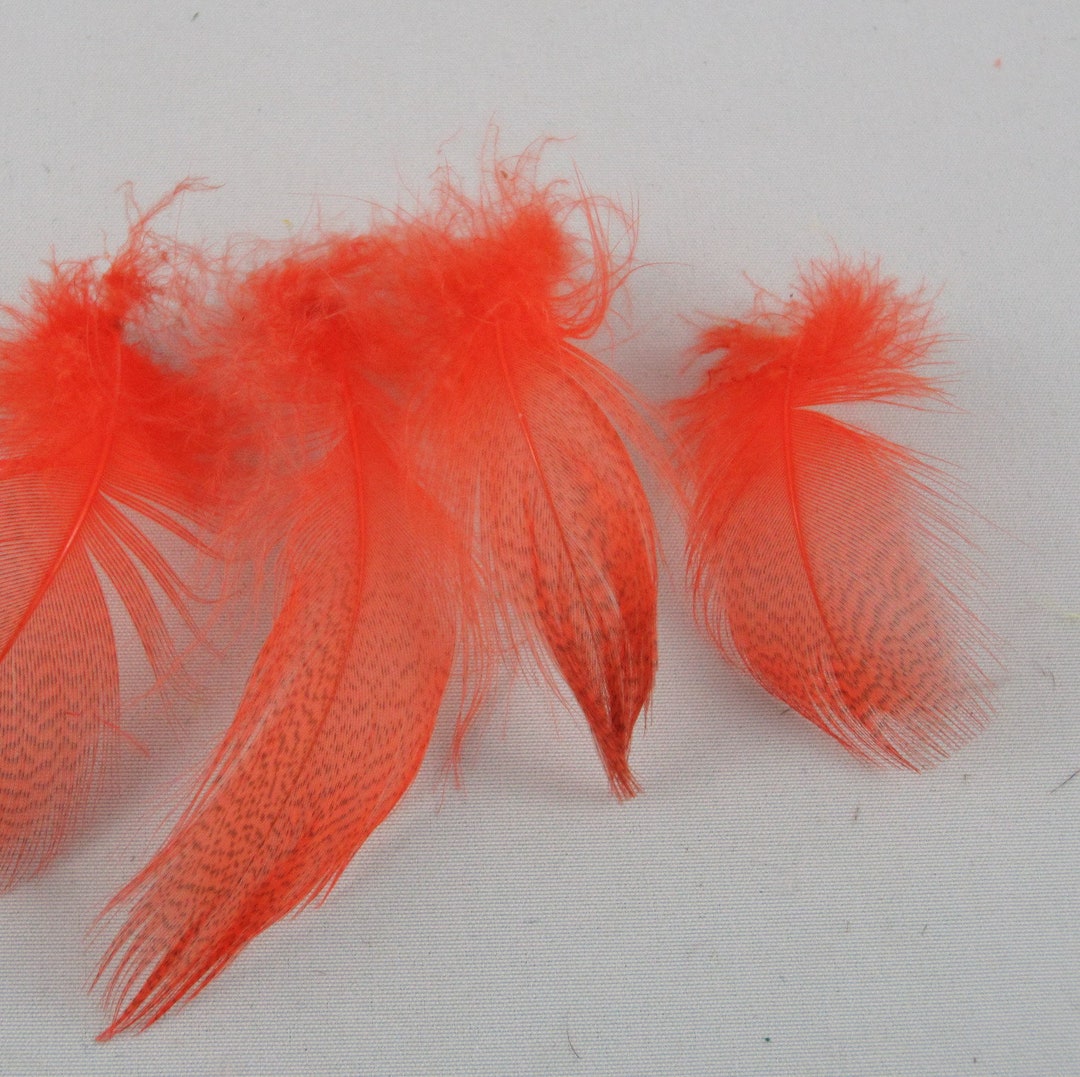 Duck Feathers Mallard Flank Orange Craft Feathers Fly Tying - Etsy