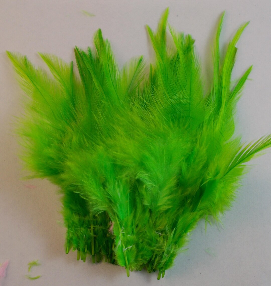 Lime Green Feathers Strung Saddle Feathers 4 to 5 Inches - Etsy