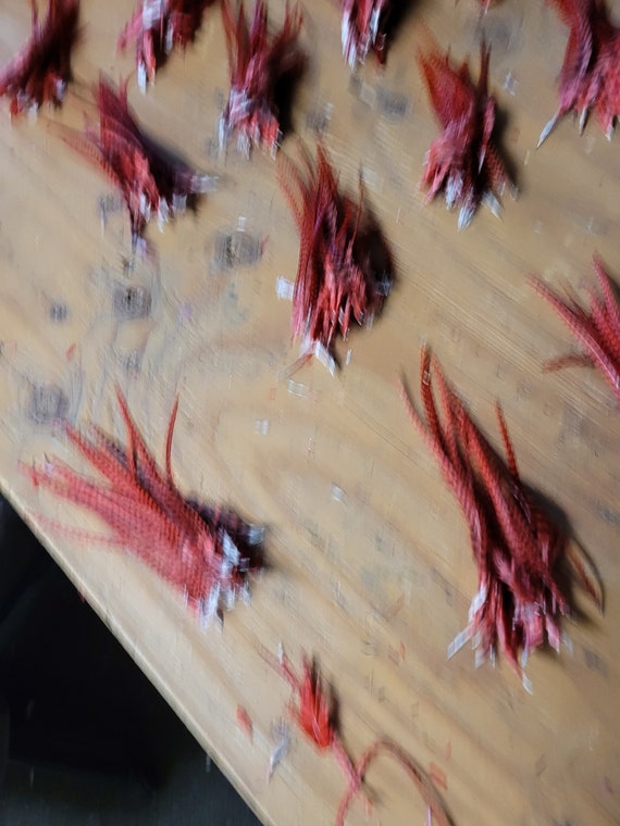 24 Red Grizzly Feathers 3 to 7 inches craft feathers Embellishments ...