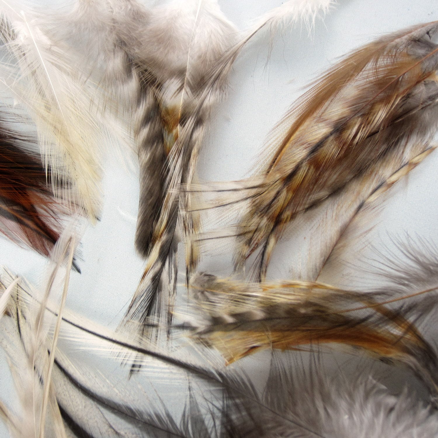 100 Feathers Assorted Natural Mix 3 to 6 Inches Craft Feathers - Etsy