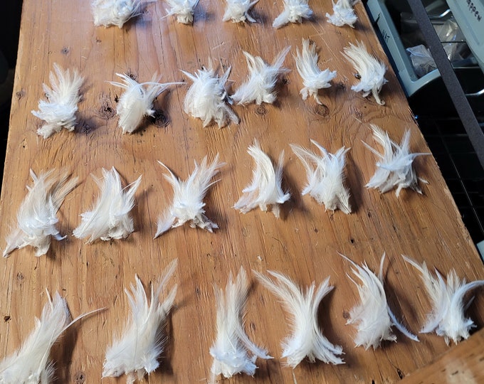 24 Yellow Grizzly Feathers Thin Saddle Hackles 2 to 5 Inches Craft ...