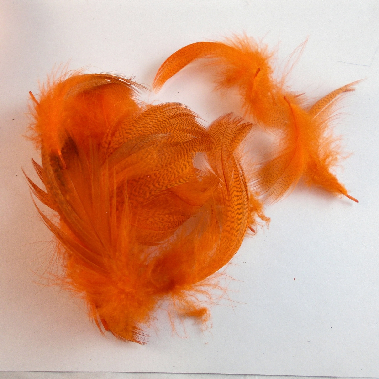 Duck Feathers Mallard Flank Orange Craft Feathers Fly Tying Fascinators ...
