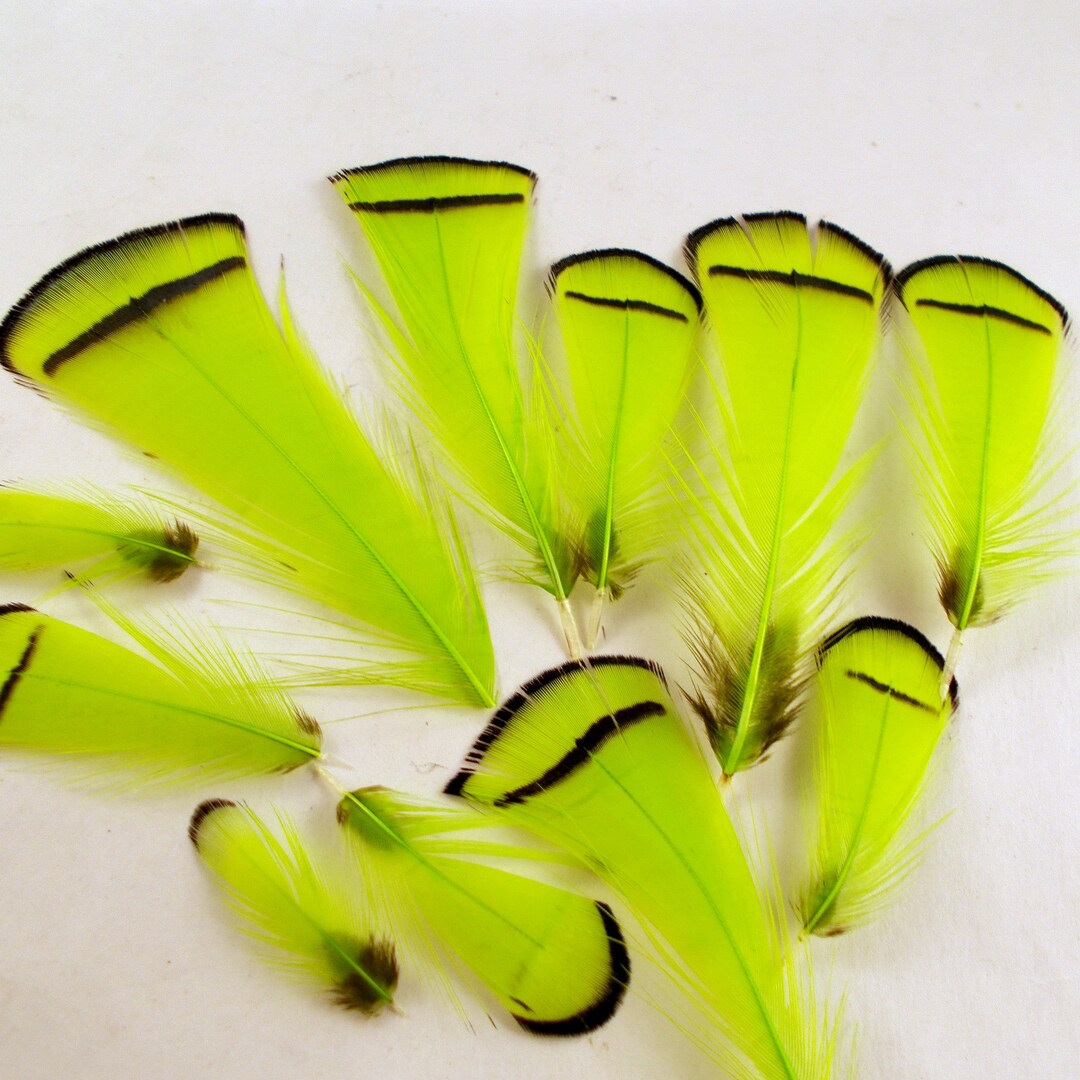Lime Green Feathers Lady Amherst Pheasant Tippets Feathers for ...