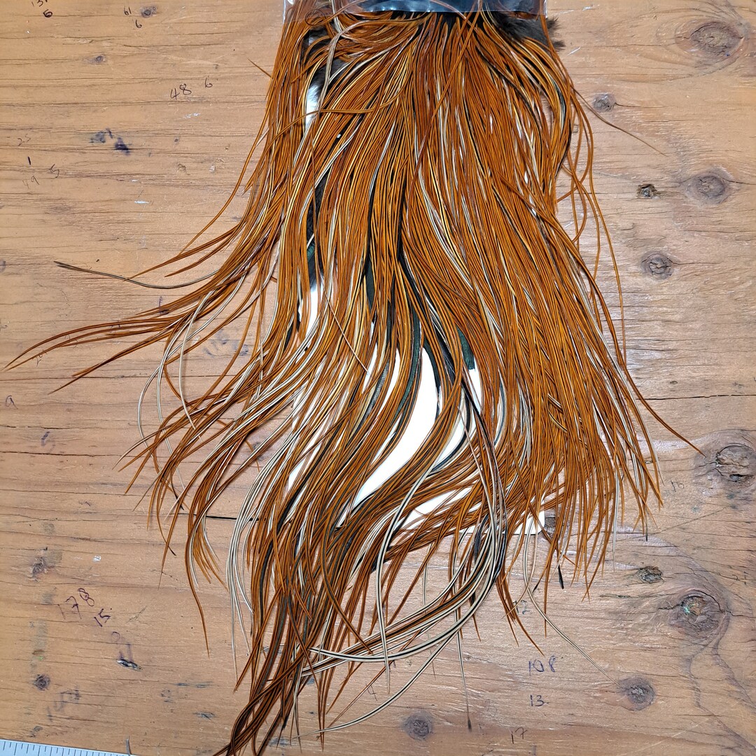 12 Furnace Thin Rooster Feather Hackles Natural Hair Extensions 6 to 12 ...
