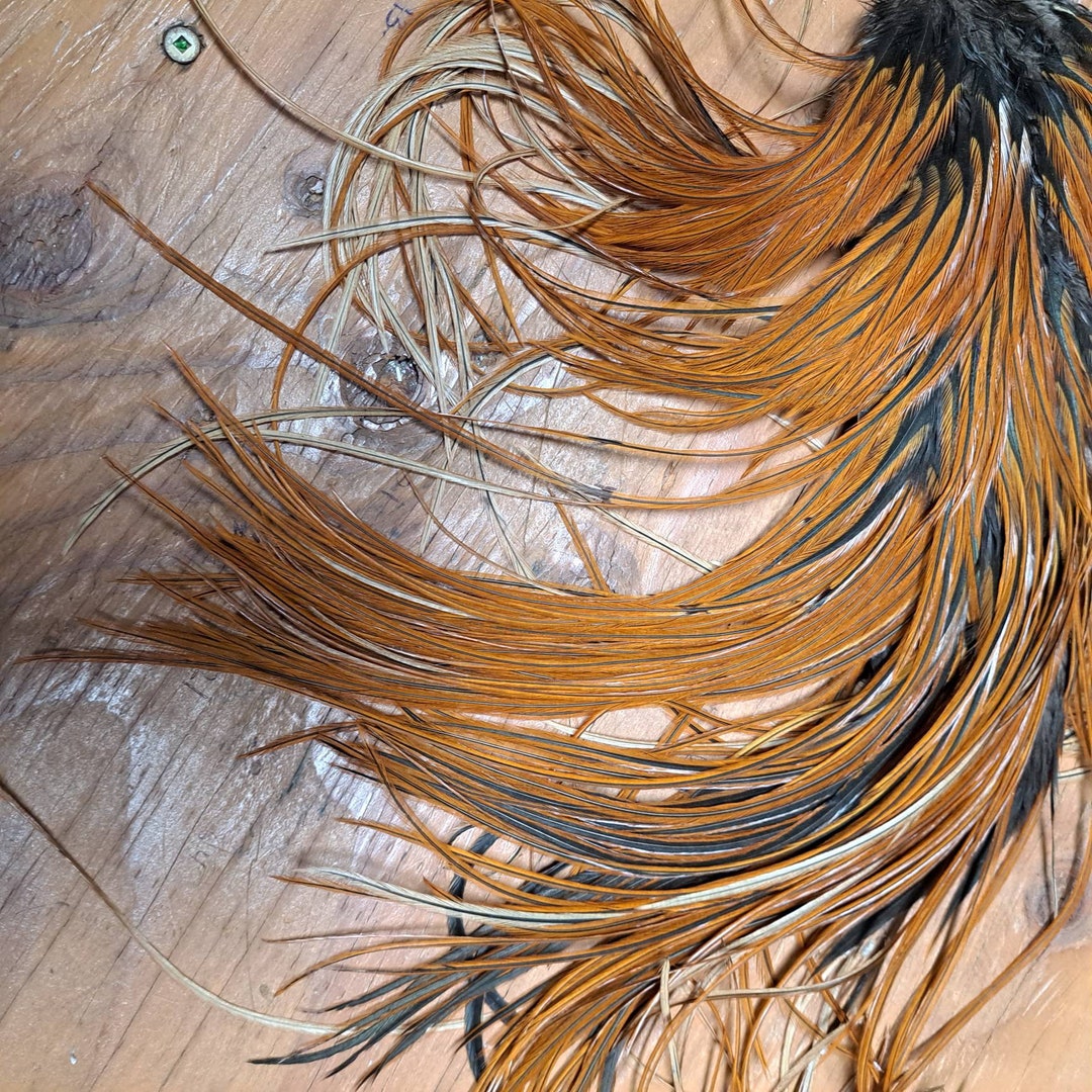 12 Furnace Thin Rooster Feather Hackles Natural Hair - Etsy