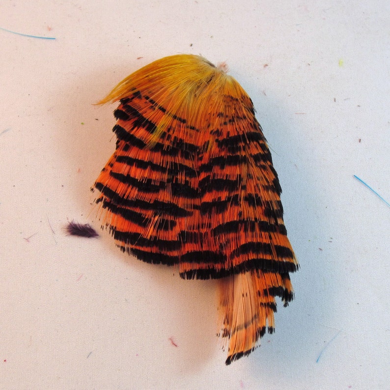Golden Pheasant Tippet Feathers Natural 10pk Craft Feathers - Etsy
