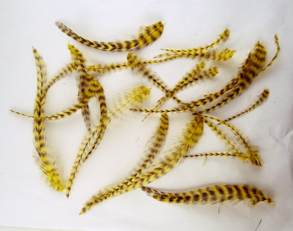 24 Yellow Grizzly Feathers Thin Saddle Hackles 2 to 5 Inches - Etsy Canada