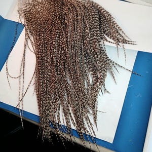 10 Long Thin Grizzly Rooster Feather Hackles Natural 8 to 11 Inches ...