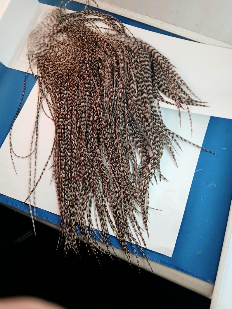 10 Long Thin Grizzly Rooster Feather Hackles Natural 8 to 11 Inches ...