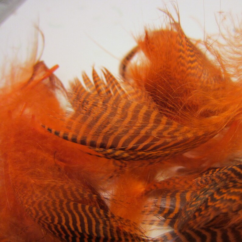 Duck feathers Mallard Flank Orange craft feathers fly tying | Etsy