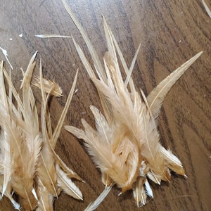 24 Light Ginger Feathers 3 to 10 Inches Craft Feathers Saddle Hackle - Etsy