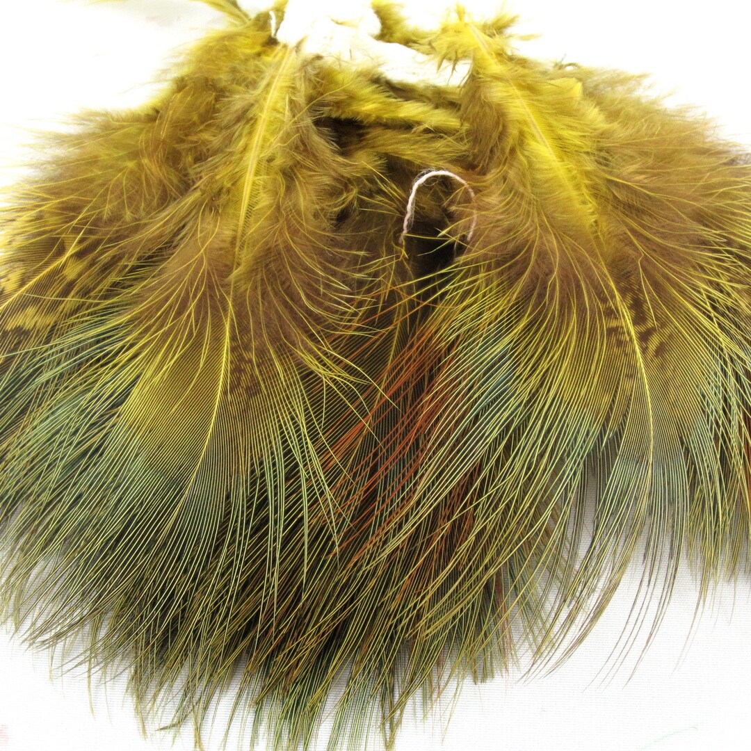 Ring Neck Pheasant Rump Feathers Yellow Craft Feathers,fascinators,fly ...