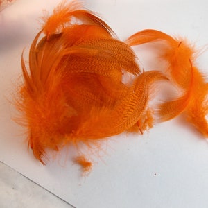 Duck Feathers Mallard Flank Orange Craft Feathers Fly Tying Fascinators ...
