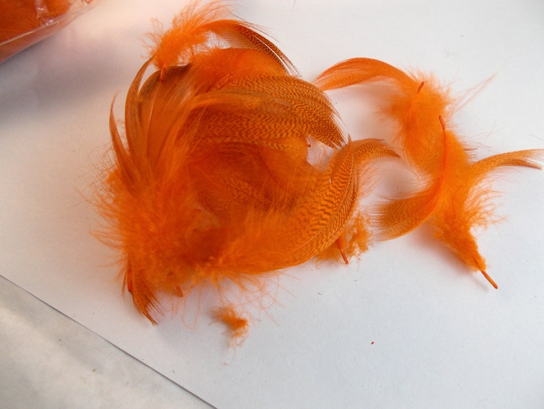 Duck Feathers Mallard Flank Orange Craft Feathers Fly Tying Fascinators ...
