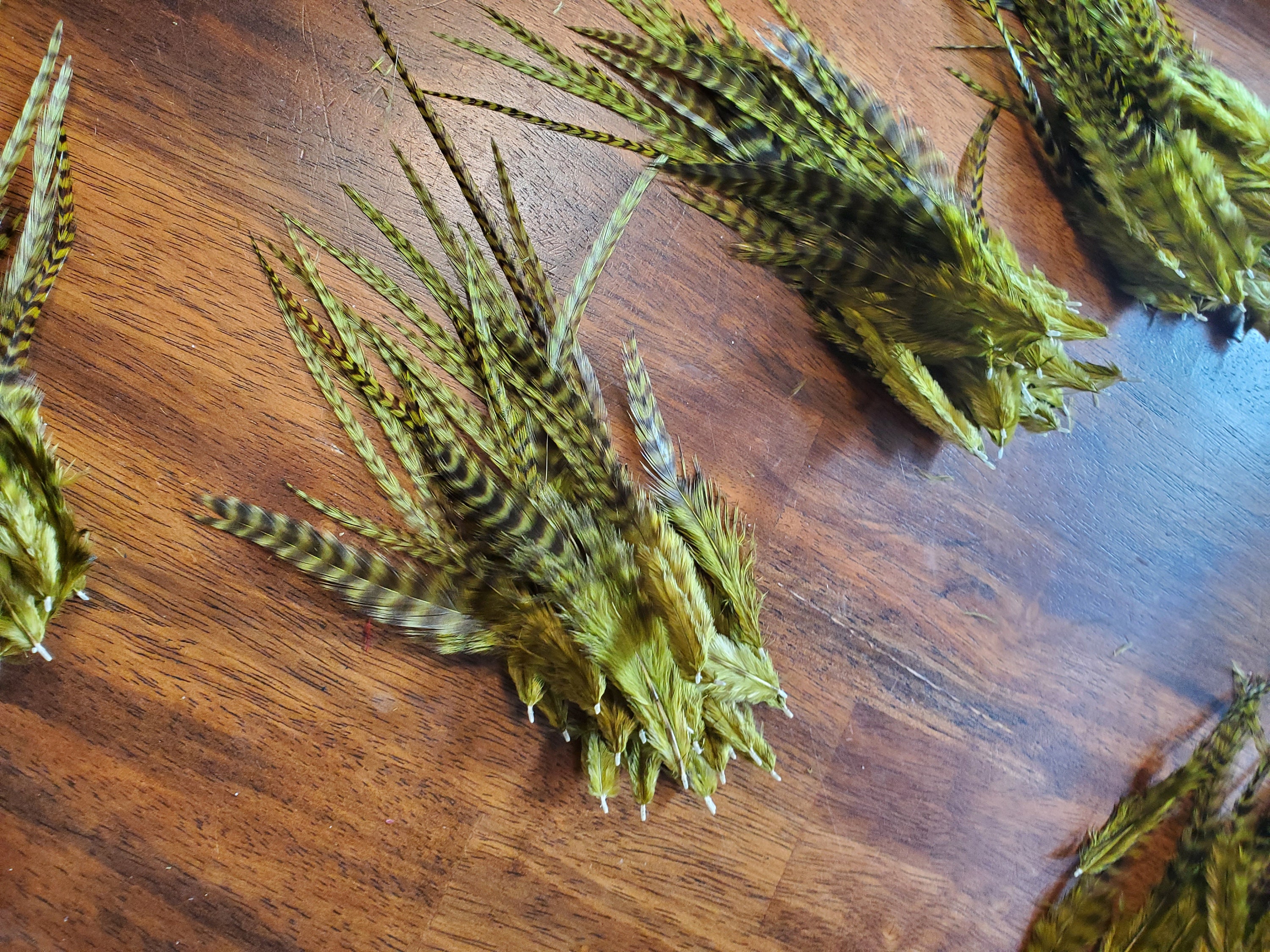 24 Olive Grizzly Feathers 3 to 8 inches craft feathers | Etsy