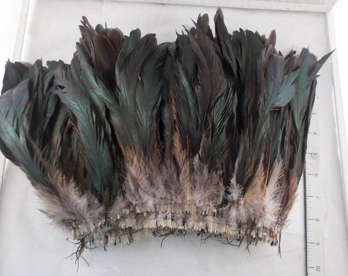 8 to 10" Raven Black Natural Feathers Iridescent Black Schlappen - Etsy